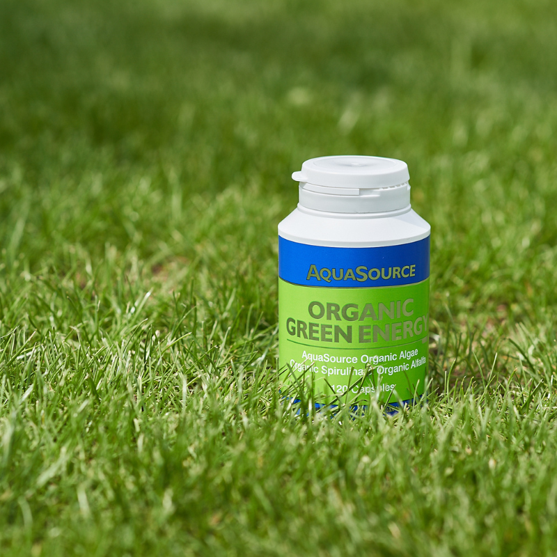 AquaSource Organic Green Energy - Article